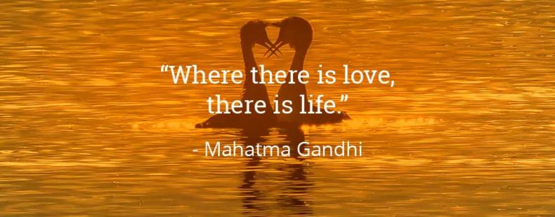 Top 10 Quotes On Love By Great Writers | Thesaurus.com