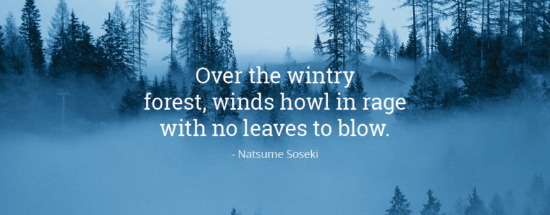 12 Short And Sweet Quotes From Haikus | Thesaurus.com