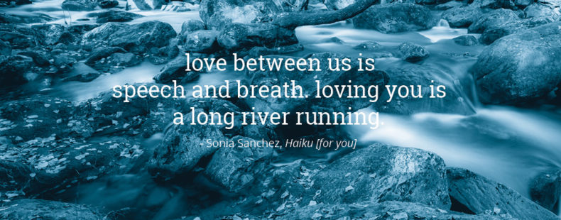 12 Short And Sweet Quotes From Haikus | Thesaurus.com