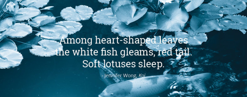 12 Short And Sweet Quotes From Haikus | Thesaurus.com