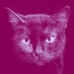 DESOLATE Synonyms: 101 Synonyms & Antonyms for DESOLATE | Thesaurus.com