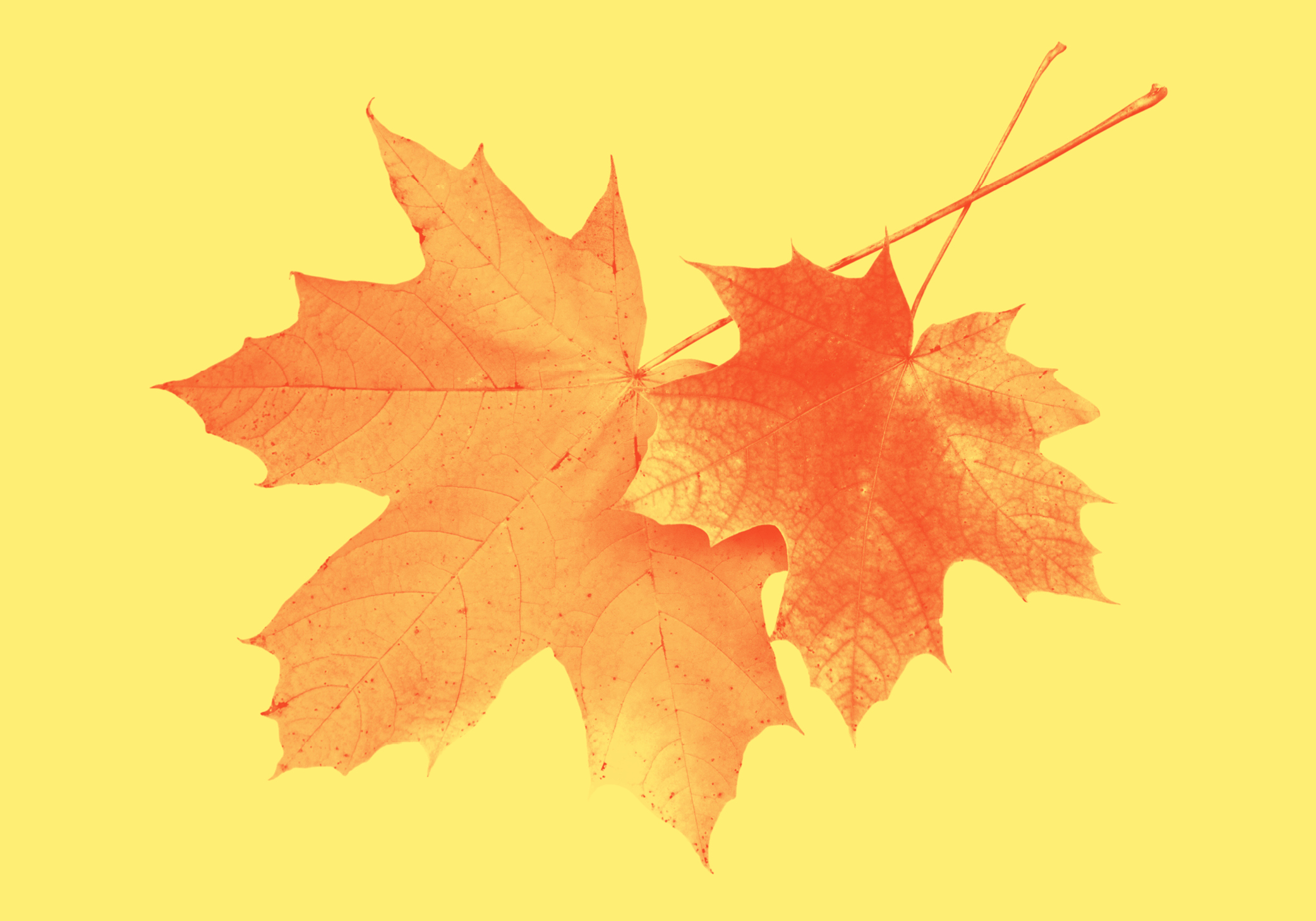 13 Seasonal Words To Describe Fall Thesaurus