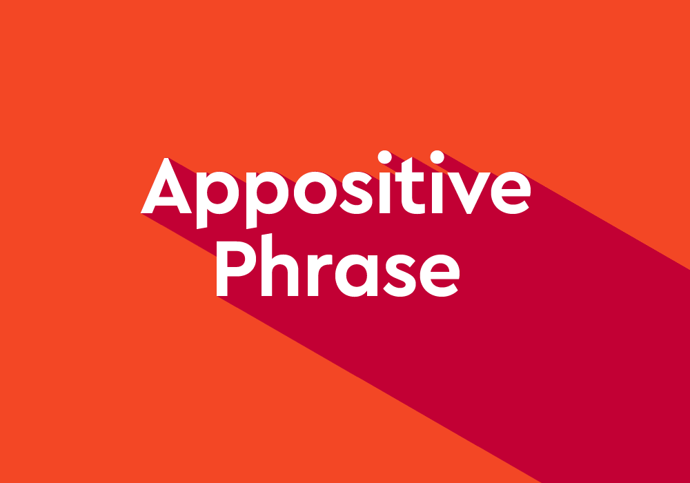 What Are Appositives & Appositive Phrases? | Thesaurus.com