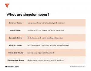 What Is A Singular Noun? | Thesaurus.com