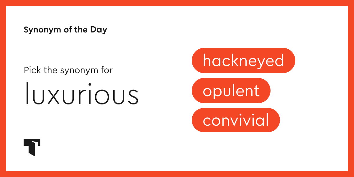 Immoderate Vs Lavish: When And How Can You Use Each One?, 55% OFF